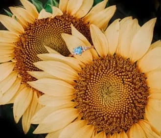 44 ans de mariage - Noces de topaze